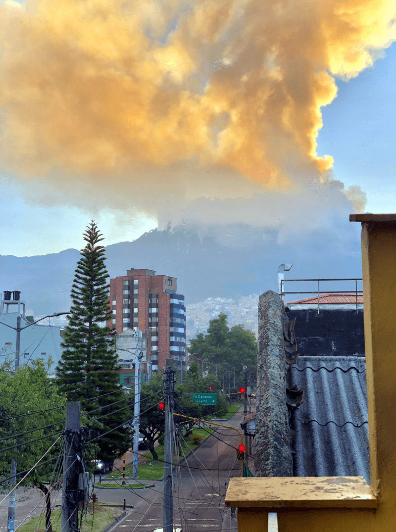 Incendies de forêt en Colombie : le gouvernement déclare un désastre